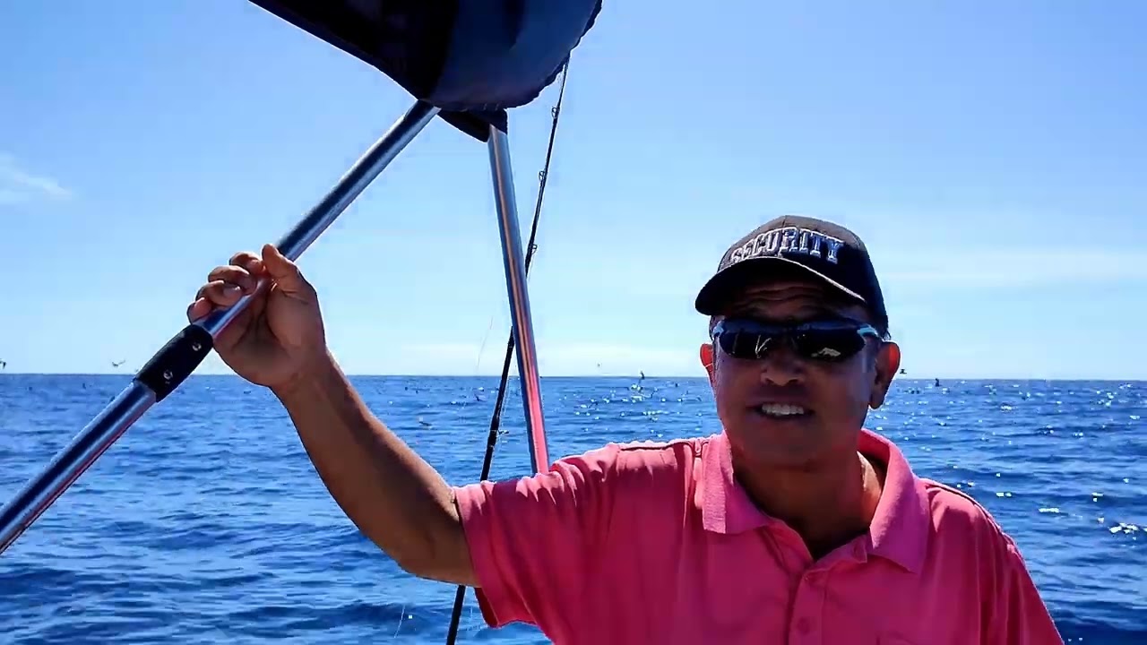 Chasing school of fish in the Pacific ocean - Pohnpei, FSM. - YouTube