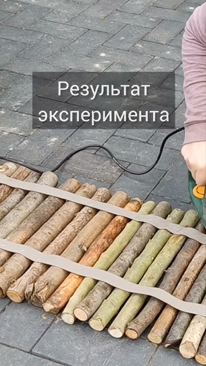 Делюсь промежуточными результатами эксперимента: Луковичные слоями ...