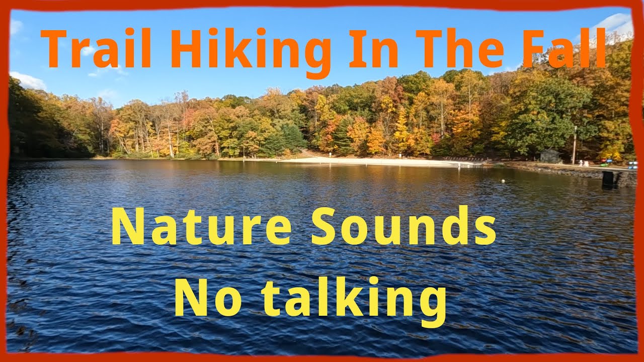 Autumn In The Woods | Relaxing Nature Sounds | Beautiful Fall Foliage ...