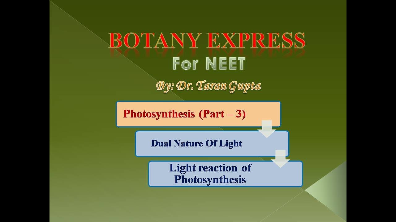 Photosynthesis - 3 | Light reaction of Photosynthesis | Chemiosmotic ...