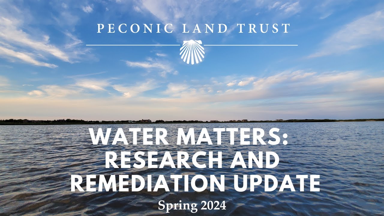 Water Matters: Research and Remediation Update - YouTube