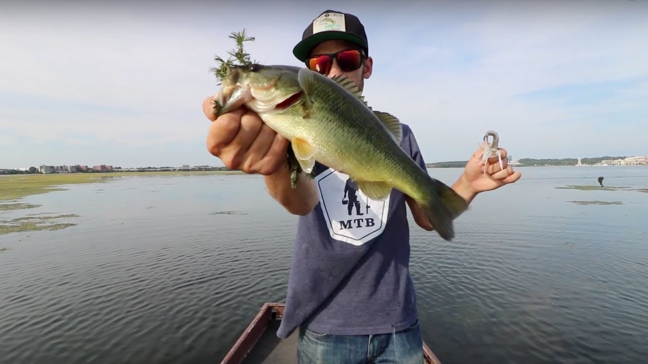 Sunny Vs Overcast Conditions Tips For Fishing Changing Weather YouTube sunny-vs-overcast-conditions-tips-for-fishing-changing-weather-youtube