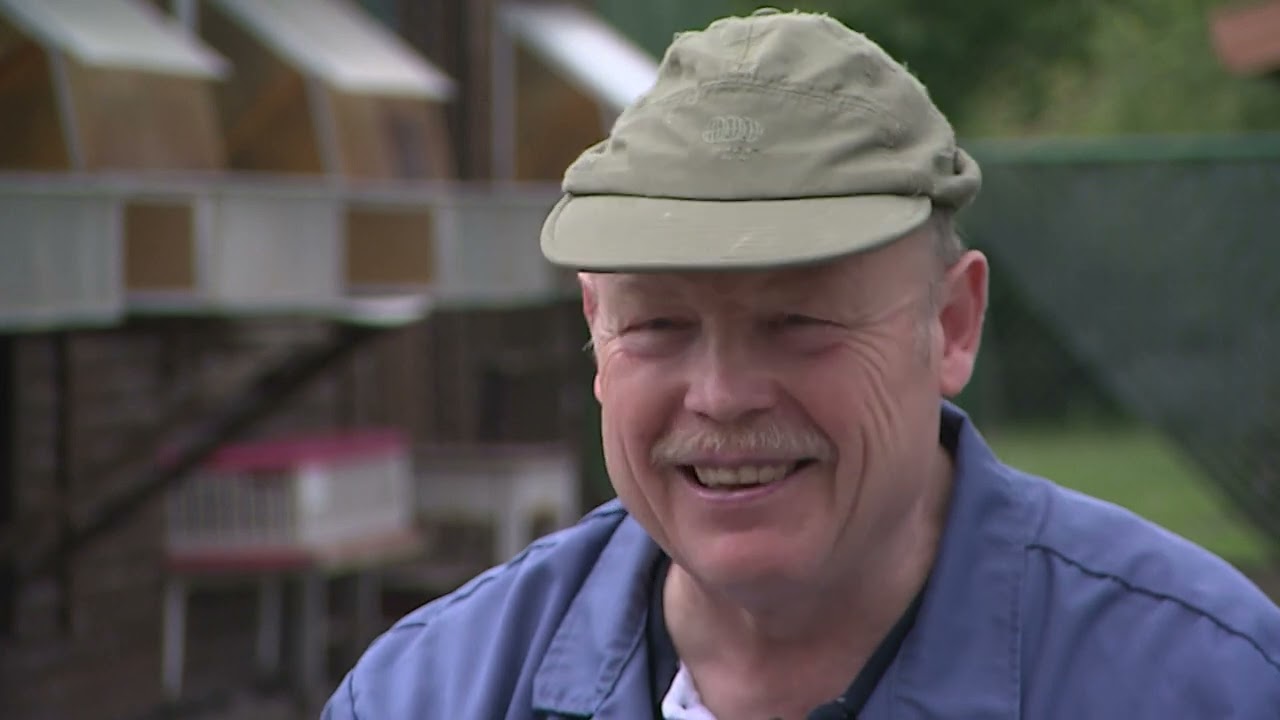 De Belgische Reisduif: De Constateur Marc De Vadder - YouTube