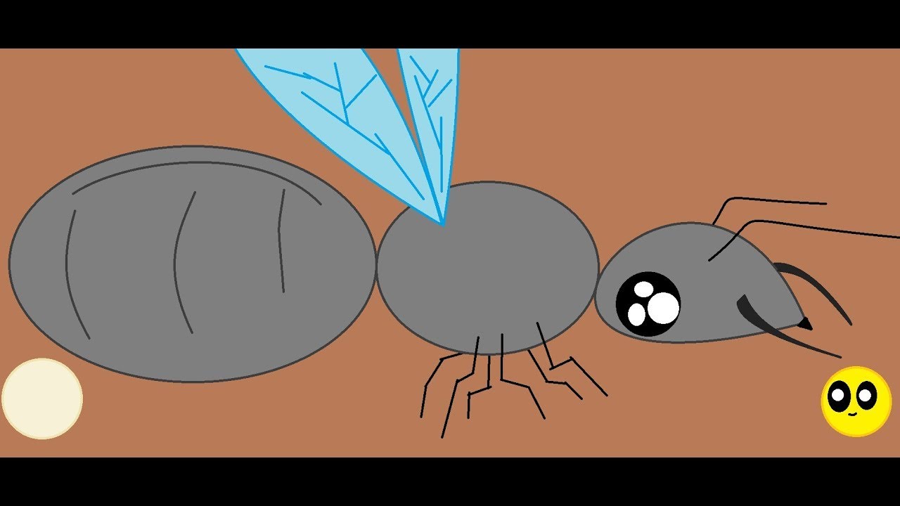 Florr.io - ant hell 2 ultras killing compilation - YouTube