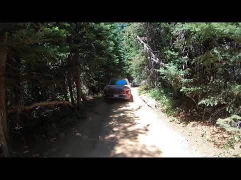 Bethel Ridge WA my 1st Off-road with 2020 Rav4 TRD - YouTube