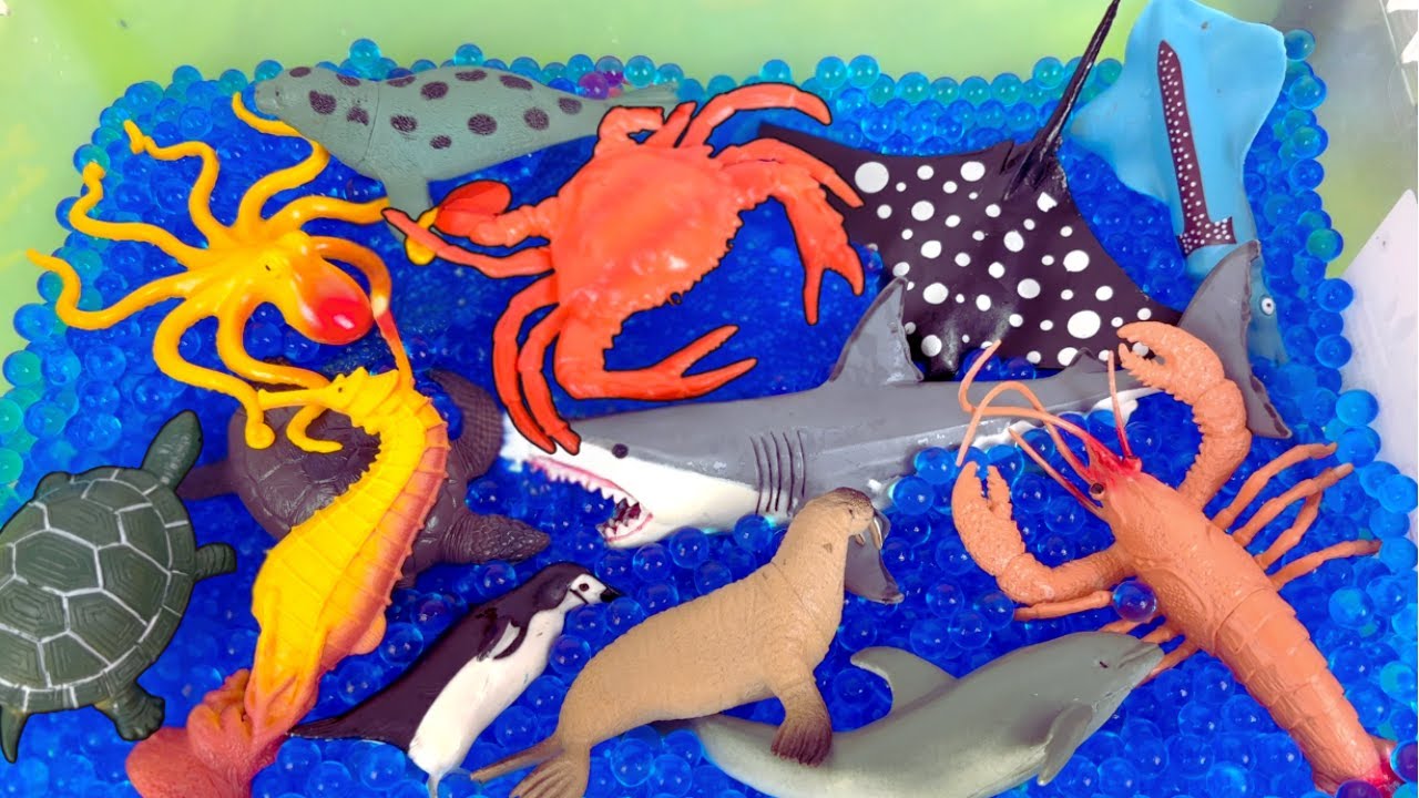 Discover Sea Animals for Babies & Preschoolers: Octopus, Jellyfish ...