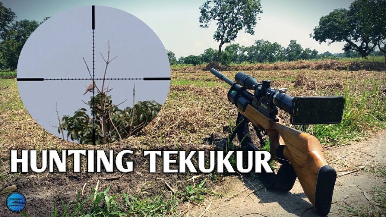 HUNTING TEKUKUR - YouTube