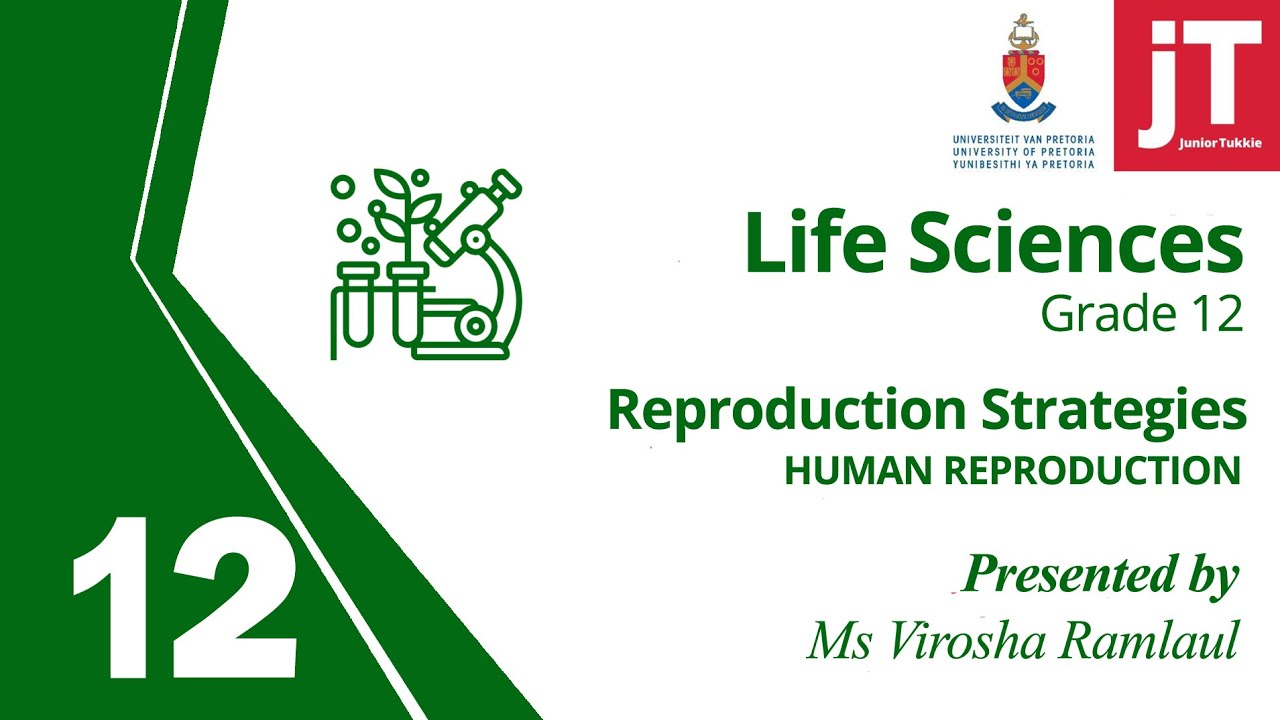6a. Gr 12 - Life Sciences - Human Reproduction - Reproduction ...