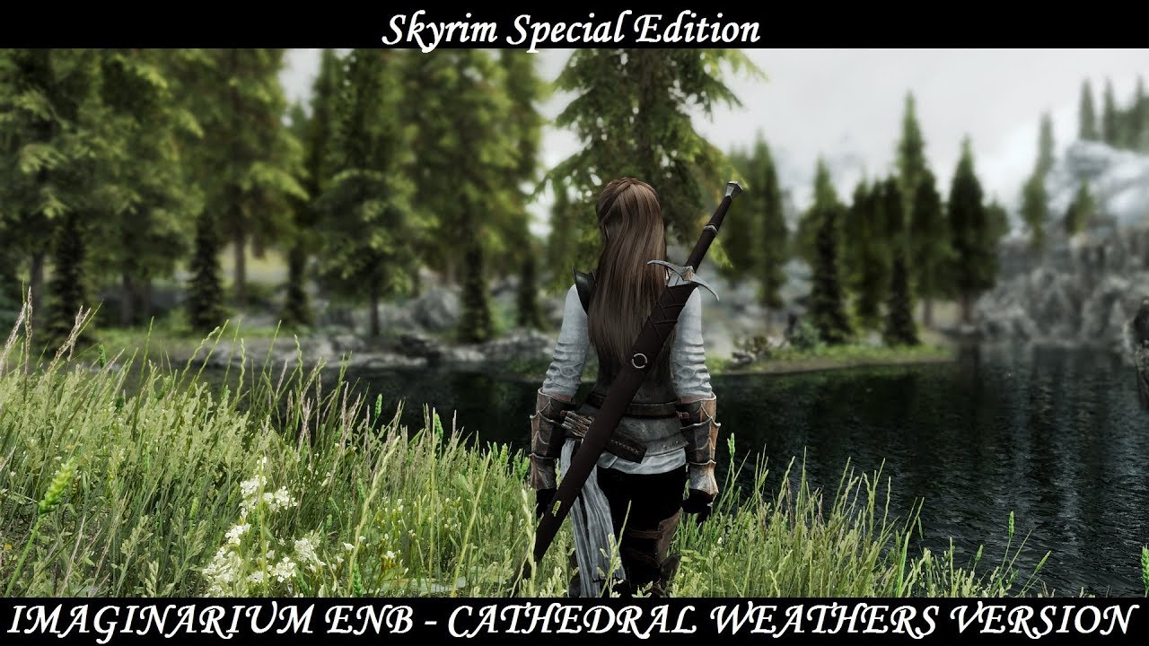 Skyrim special edition enb ini editsa - riever