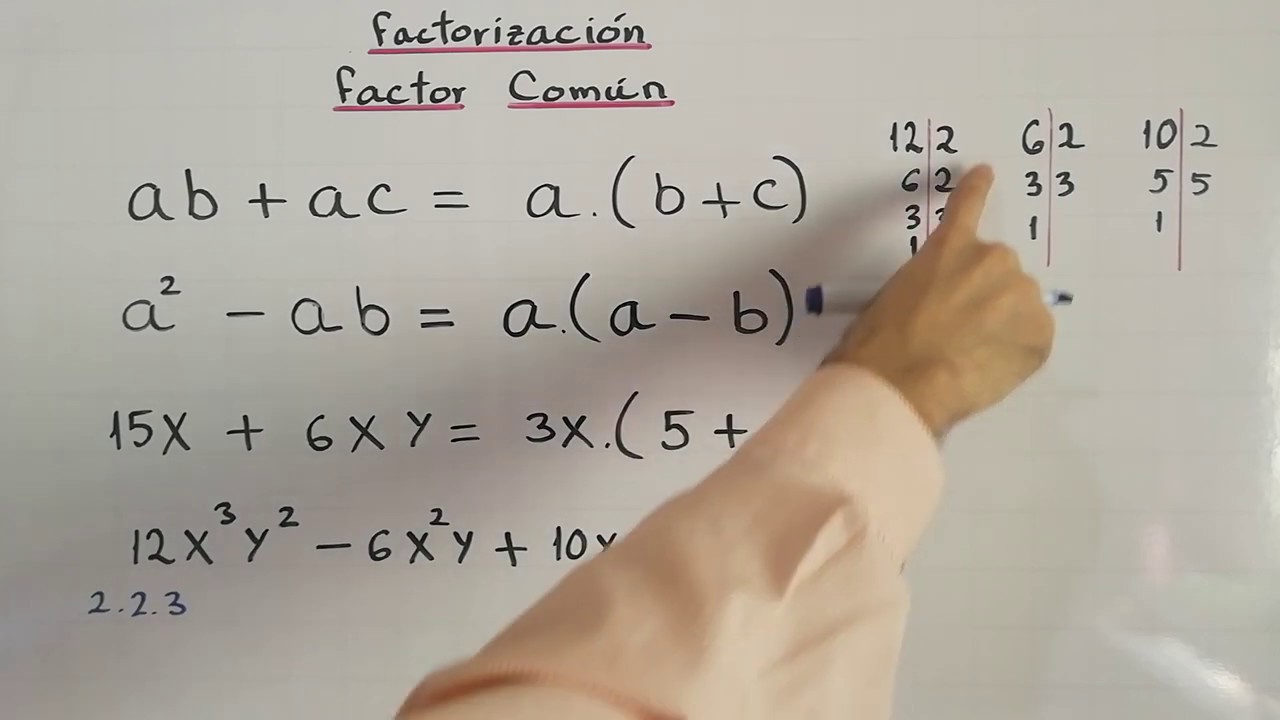 Factorización | Factor Común | Introduccion | Álgebra - YouTube