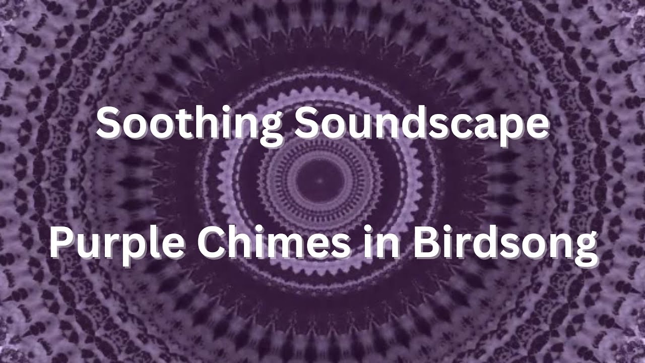 Purple Chimes in Birdsong - YouTube