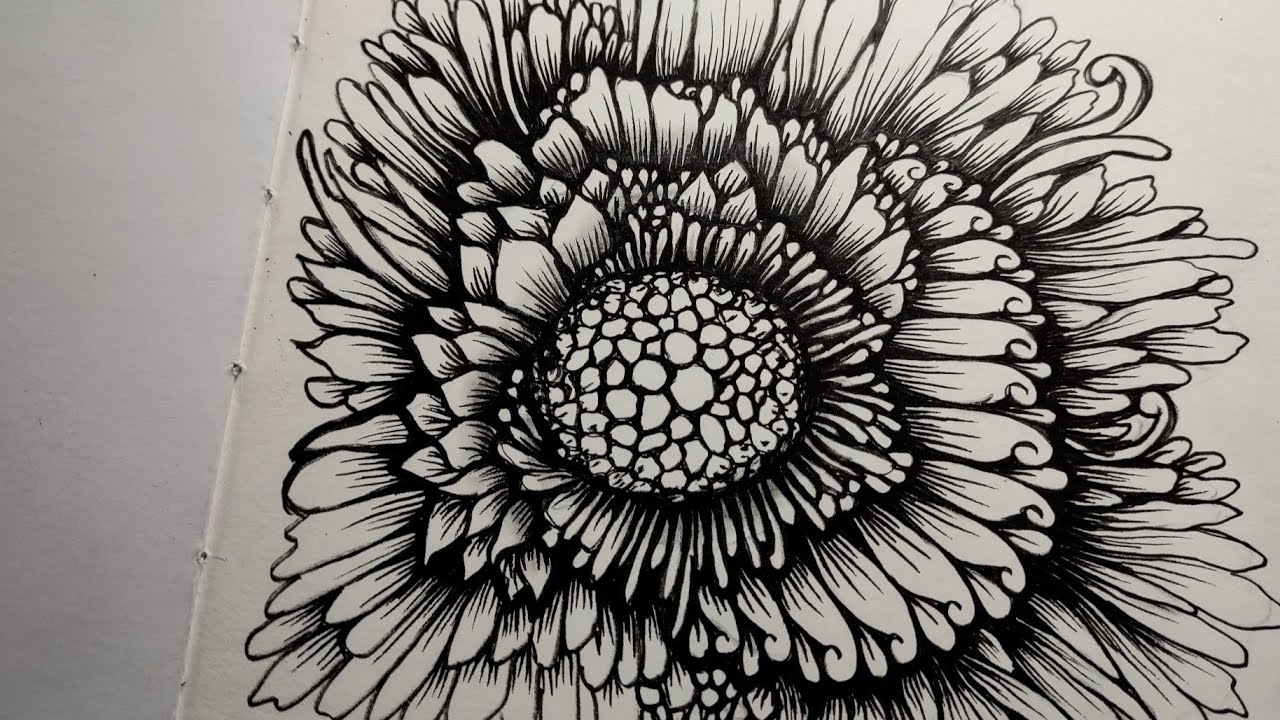 Draw a Beautiful Surreal Flower with me - YouTube