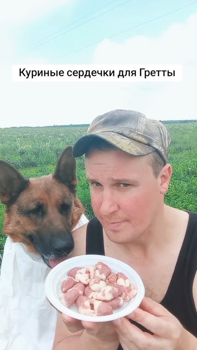 куриные сердечки для собачки #собака #животные #дегустация # ...