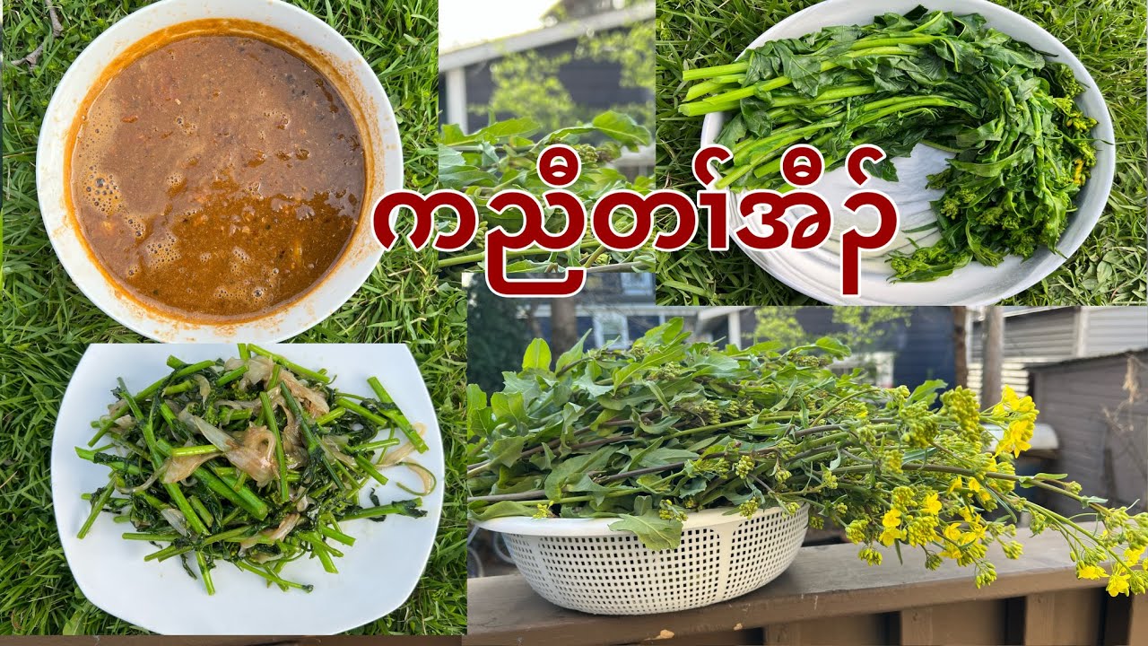 KAREN FOOD: ORGANIC VEGETABLES - YouTube