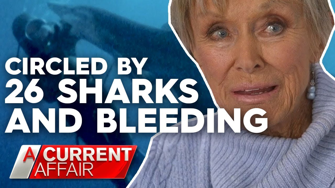 Aussie's experience is why Hollywood made Jaws | A Current Affair - YouTube