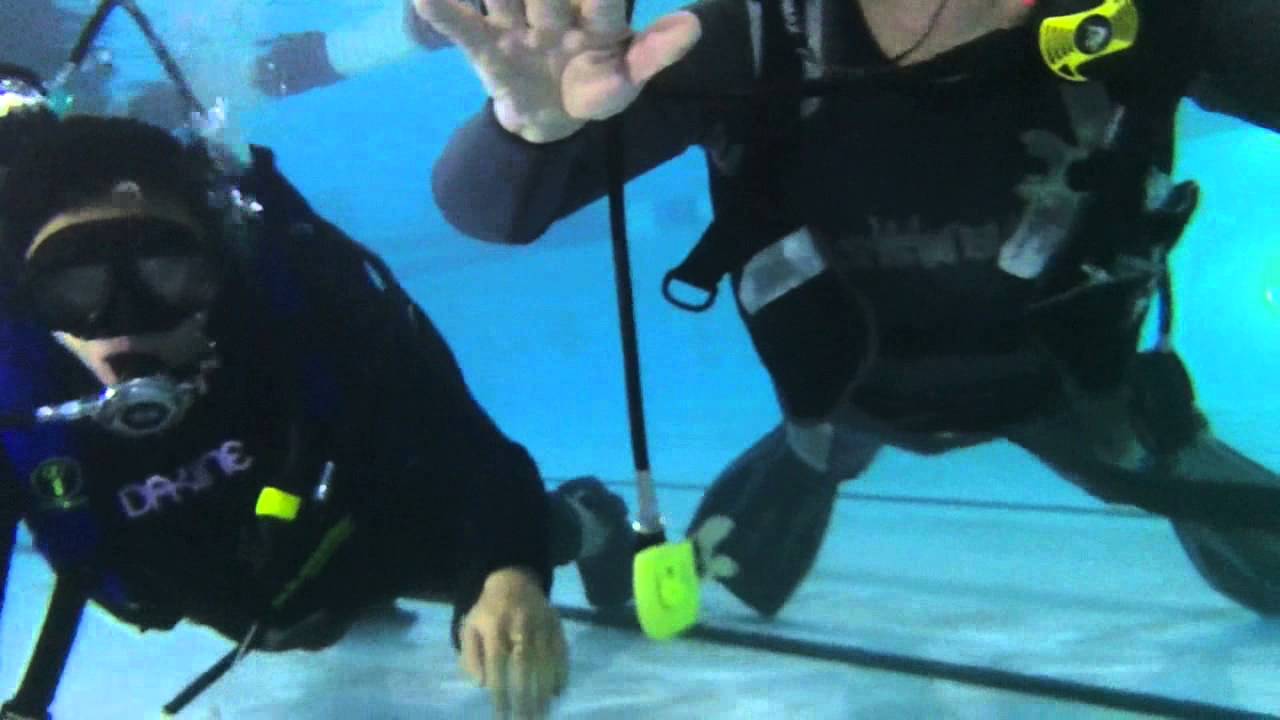 Diving Down with San Francisco Recreation & Parks Leisure Services ...