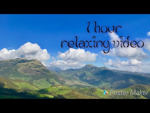 1 Hour Relaxing music 🎶🎶 - YouTube Music