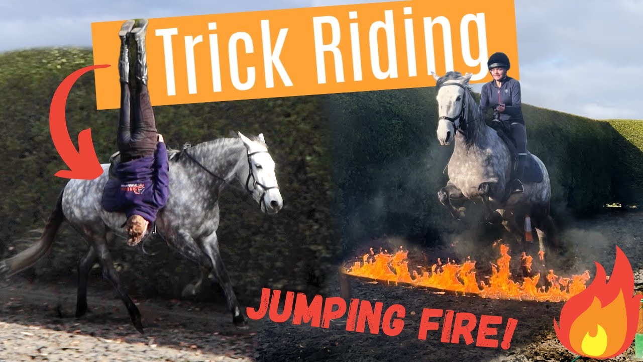 TRICK RIDING and JUMPING FIRE!!! 🔥 LilPetChannel - YouTube