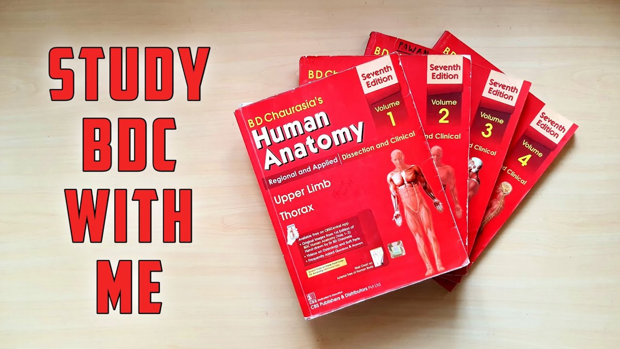 Best Way to Study BDC | Anatomy - YouTube