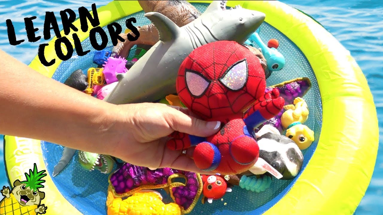 LEARNING Colors with Pool Toys and Animals by Puggy Pineapple - YouTube
