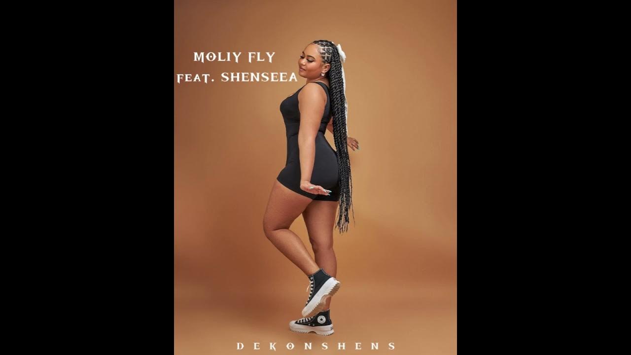 Moliy fly feat. Shenseea (Shake It To The Max) official Audio - YouTube