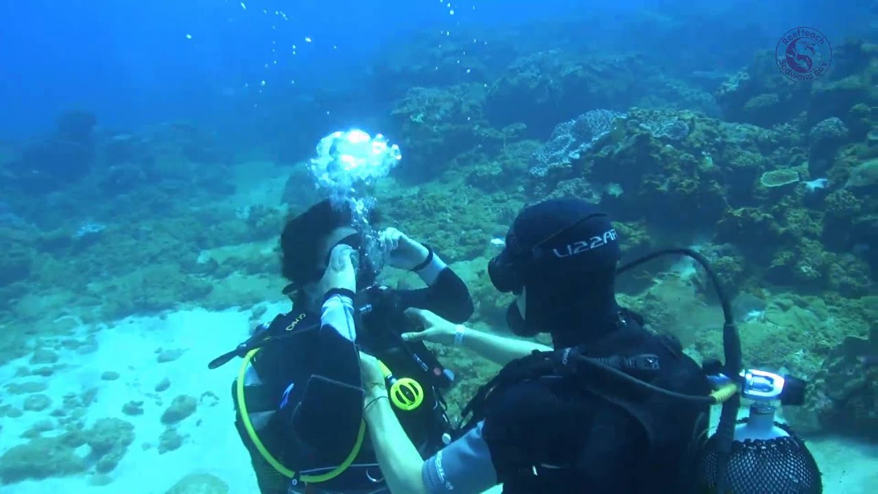Diving in Sodwana Bay - YouTube