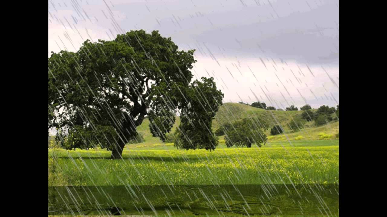 Bitty McLean It Keeps Rainin' - YouTube