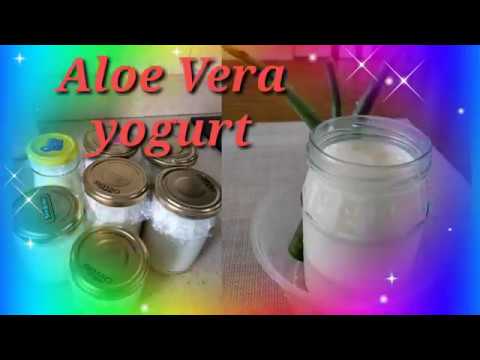 ALOE VERA YOGURT RECIPE . - YouTube
