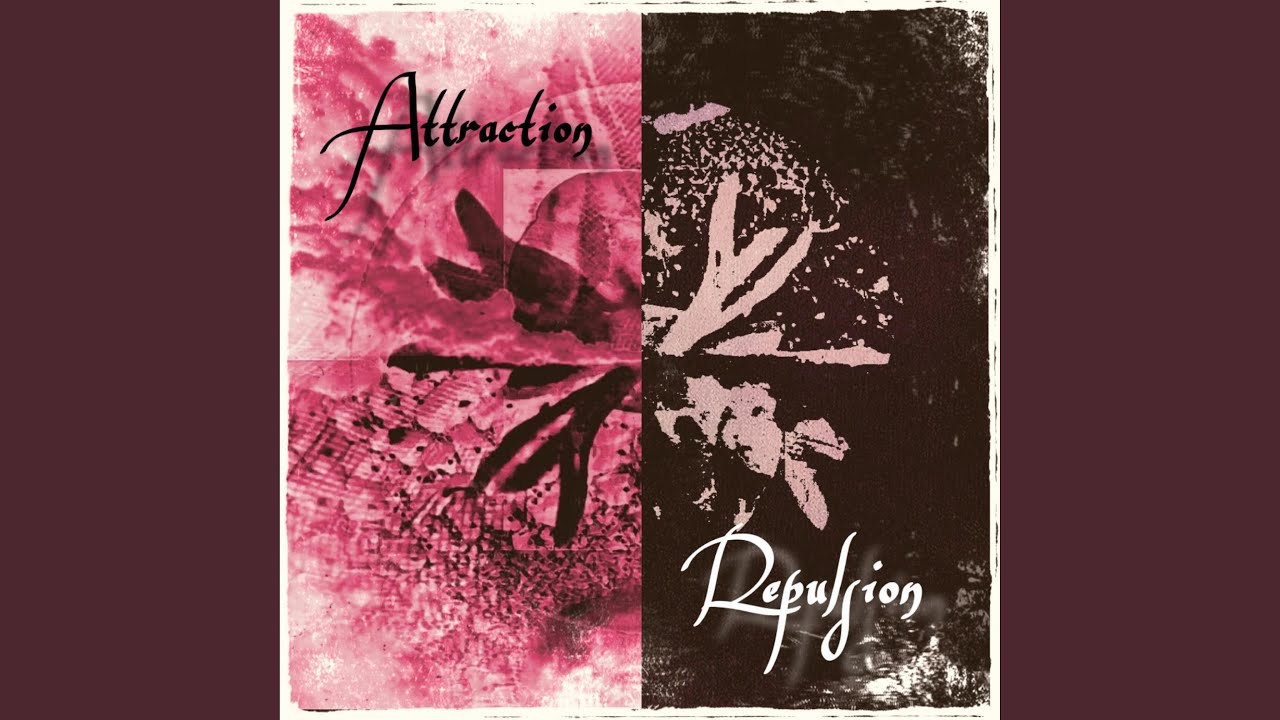 Attraction and Repulsion (feat. Howard Bloom Institute) - YouTube