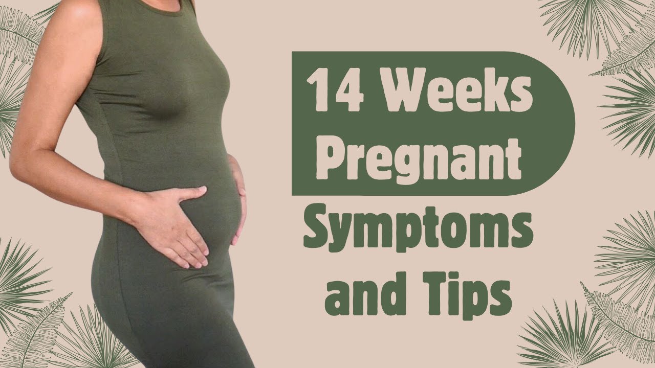 14 Weeks Pregnant | Symptoms & Tips | What to Expect - YouTube