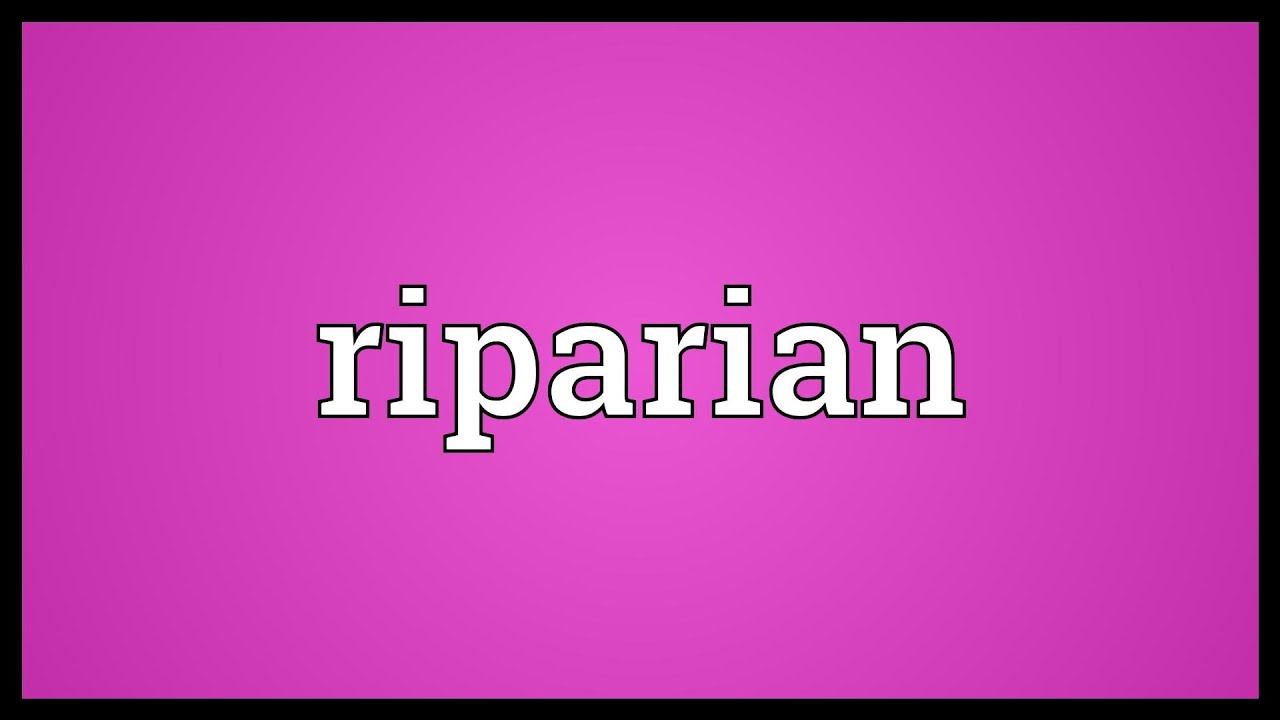Riparian Meaning - YouTube