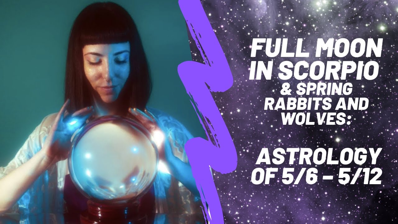 Full Moon in Scorpio & Spring Rabbits and Wolves: Astrology of 5/6 – 5/ ...