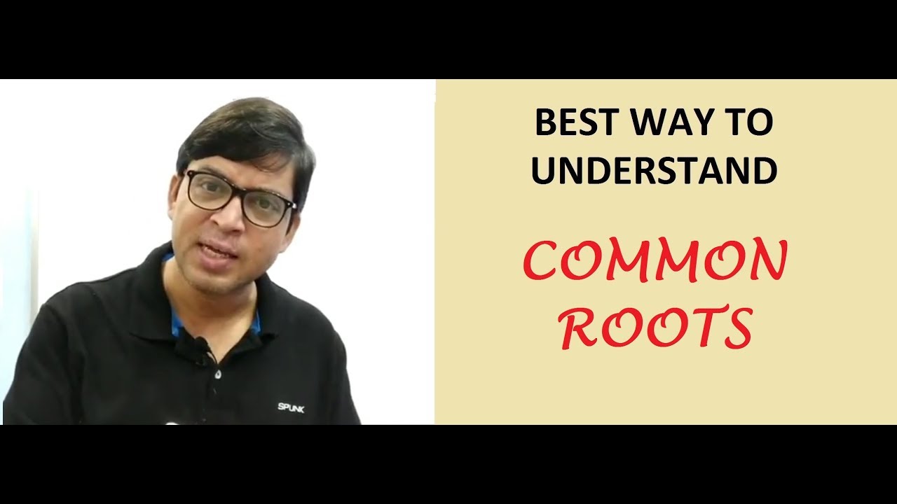 COMMON ROOTS|quadratic equations|Class 11|quadratic equations common ...