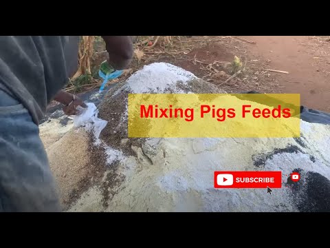 Mixing our Own Pigs' Feeds - YouTube