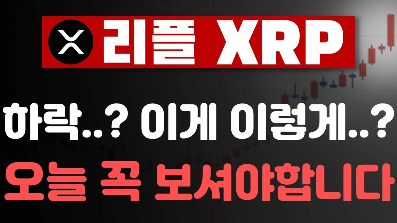 리플전망 속보 실시간 대형 사건이 터졌네요 주말사이에 엄청난 변동성 주의 오늘 영상은 꼭 보셔야합니다 리플전망 리플호재 리플급등 리플코인 리플소송 리플