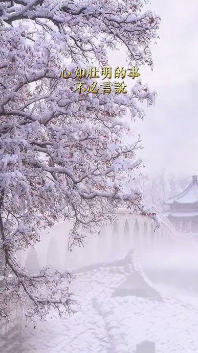 對不起的事都做了,對不起的話就別說了。我對得起當初的萍水相逢,也對得起最後的一刀兩斷。 Youtube