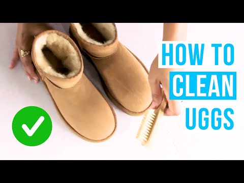 How to CLEAN UGGS at home
