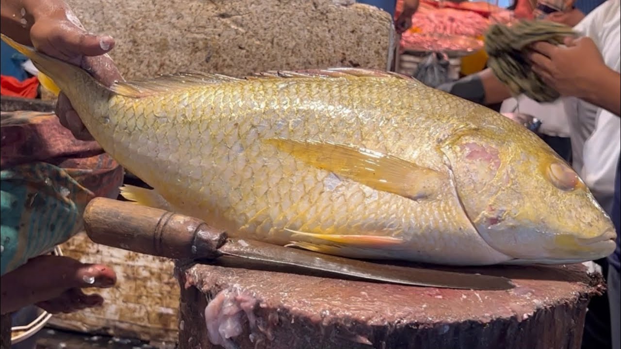 Amazing Cutting Style | Big Snapper Fish Cutting Skills By Expert ...
