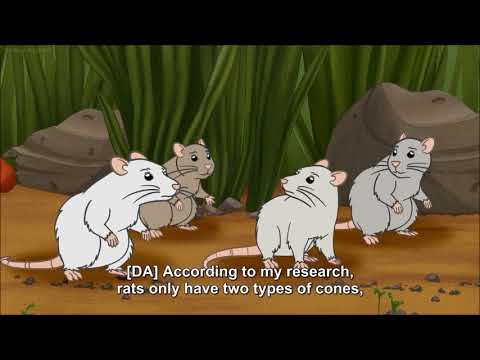 The Magic School Bus Rides Again - Everyone transforms into Rats - YouTube