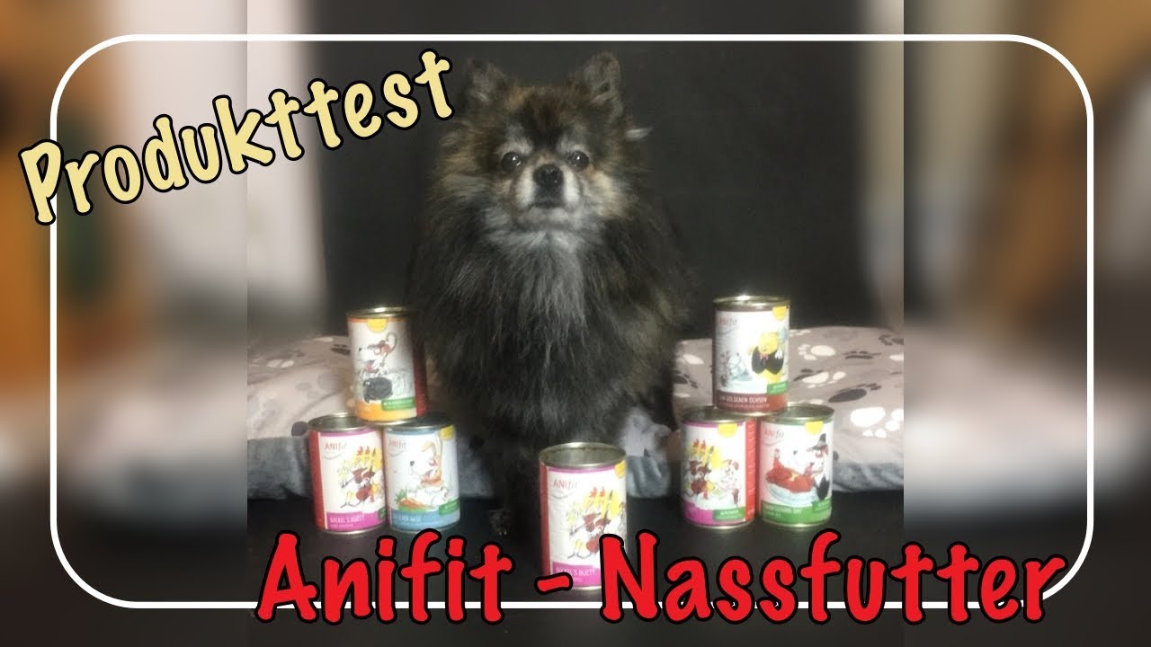 Produkttest Anifit Nassfutter | Wir testen Hundefutter | Hundekanal ...