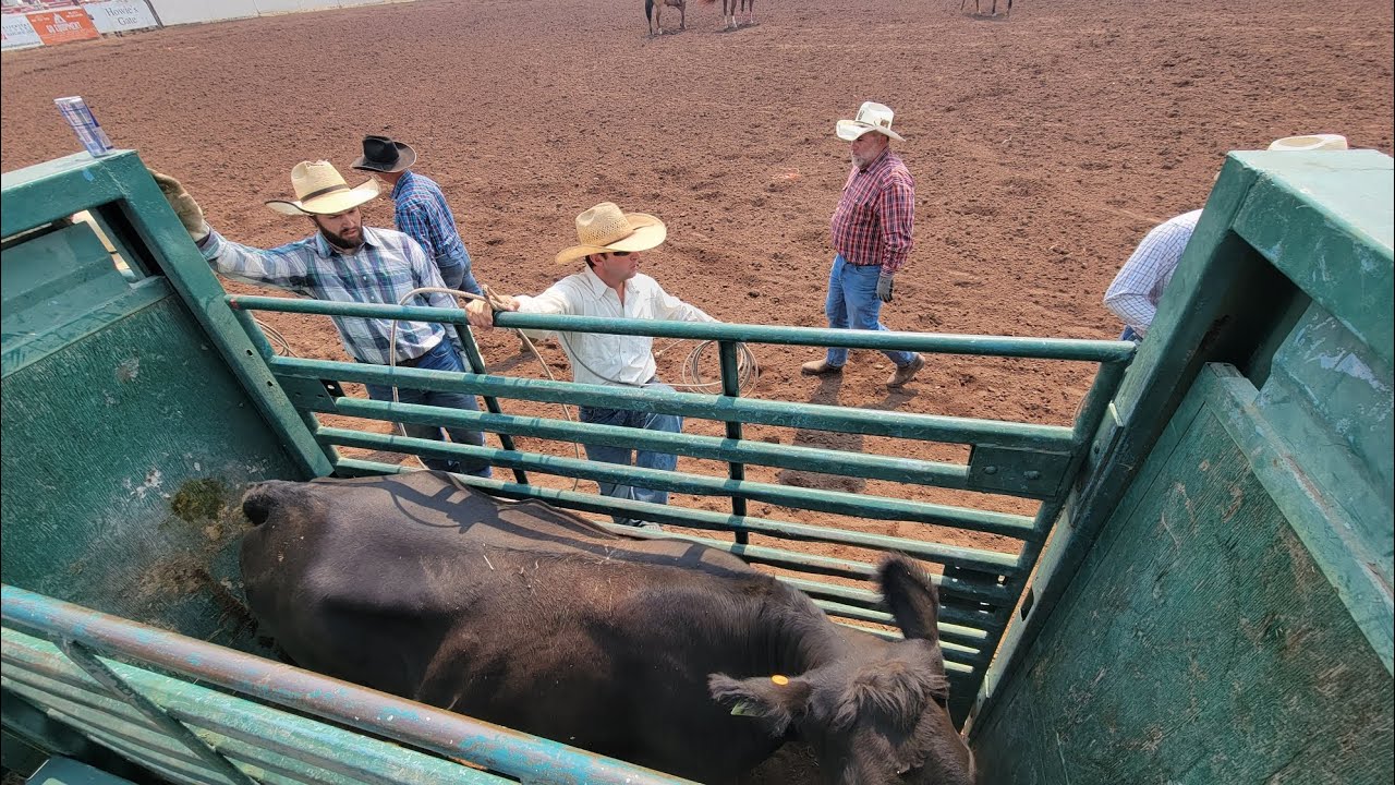 Goldendale Rodeo Saturday Aug. 19 2023 merchant cow milking - YouTube