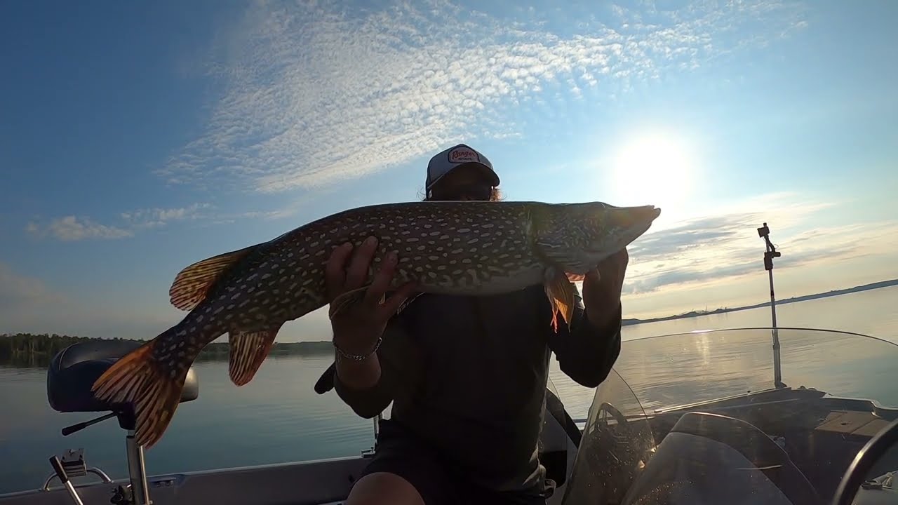 My Journey Chasing Giant Pike Straight Outa Sault. Ste Marie.. - YouTube