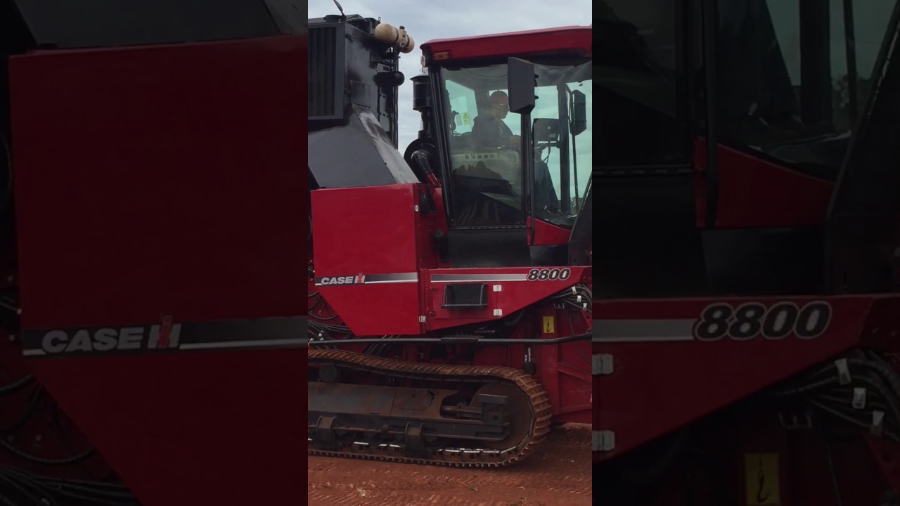 Harvester Sugar Cane Case A8800 - Sale - YouTube