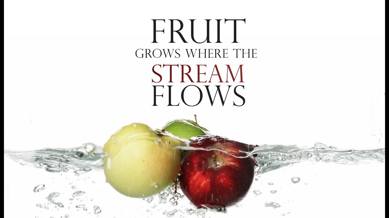 Paul Lucas • Fruit Grows Where the Stream Flows - YouTube