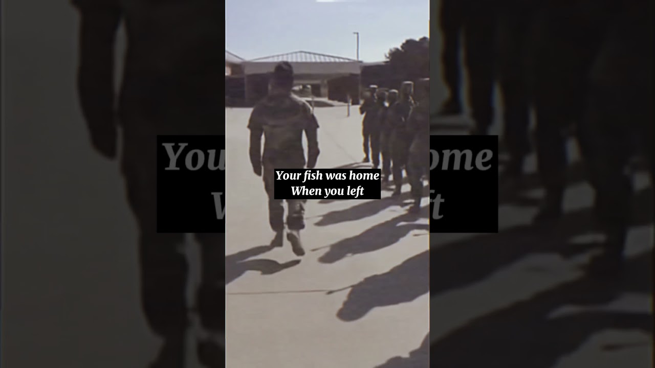 ‘Your daddy was home when you left’ Military Cadence🇺🇸 - YouTube