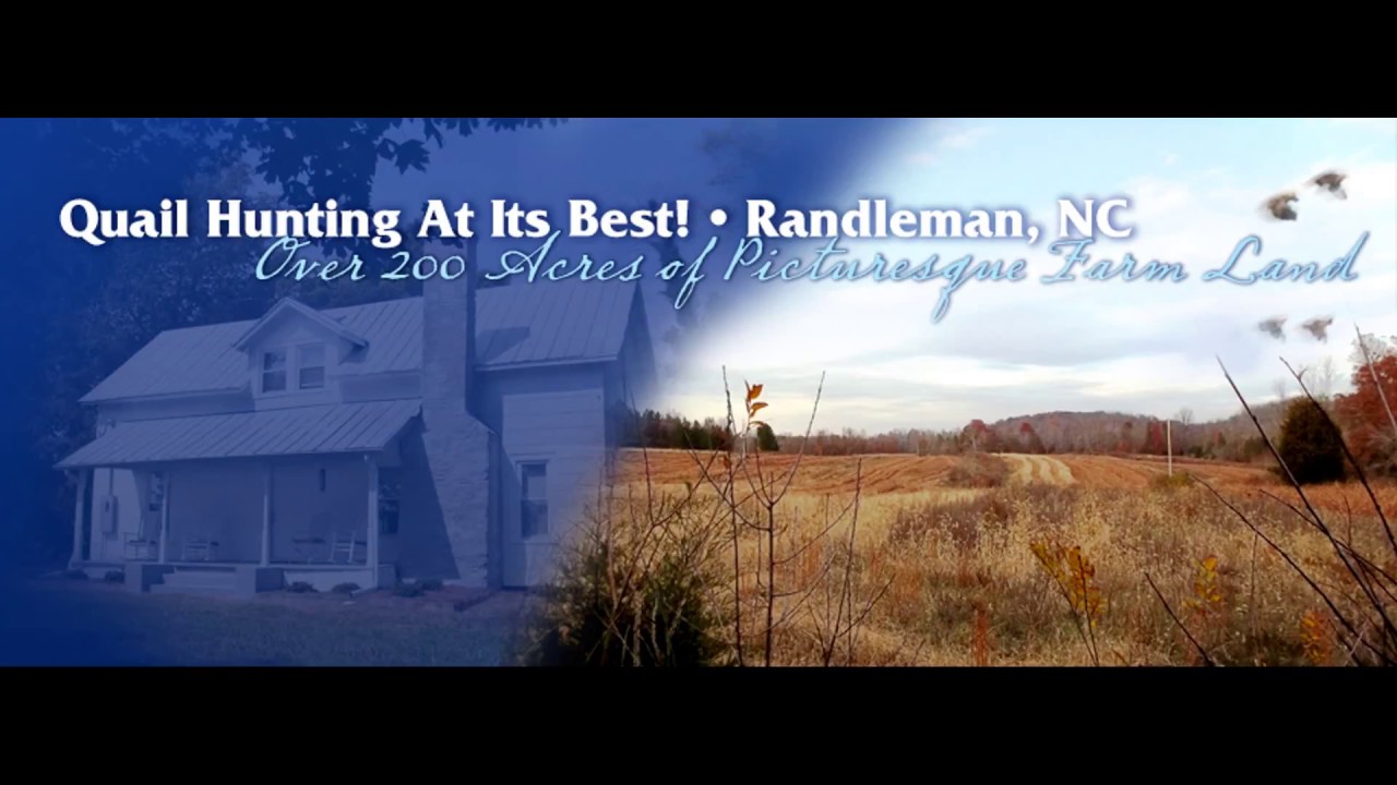 Blue Horizon Quail Hunt with the Gopro - YouTube