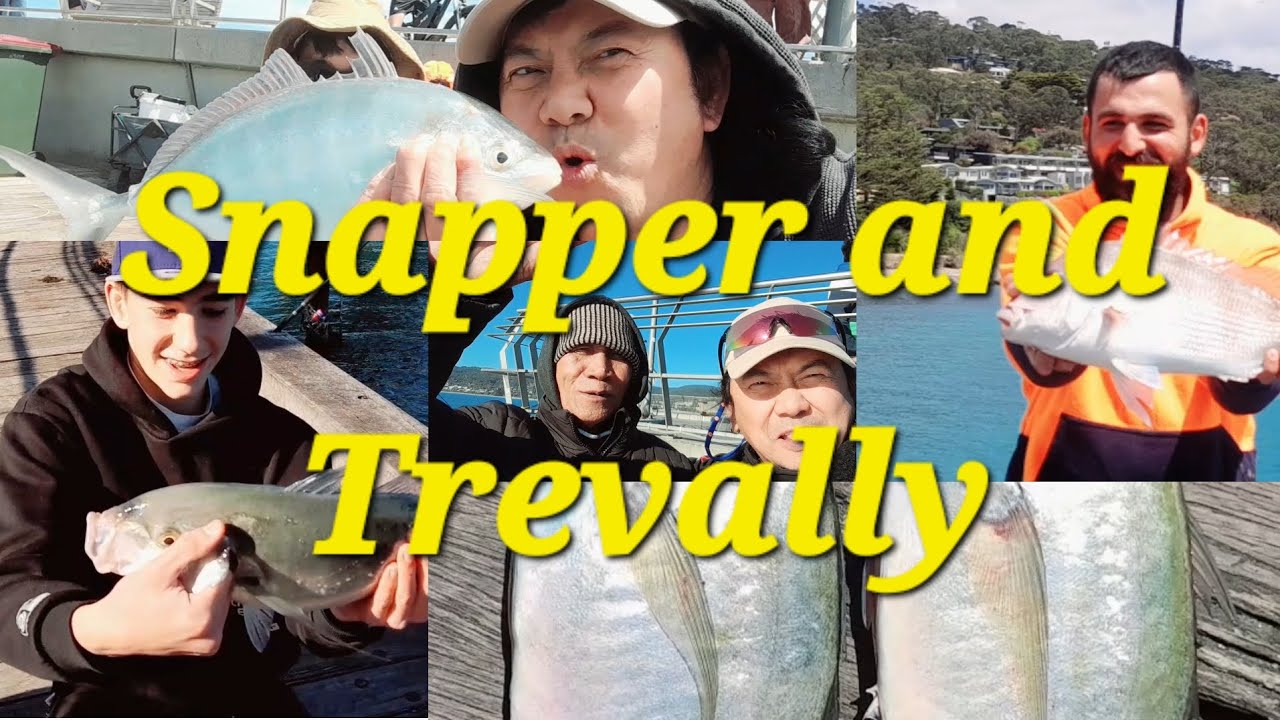 2024 Episode 55: Fishing at Lorne Pier two days session - YouTube