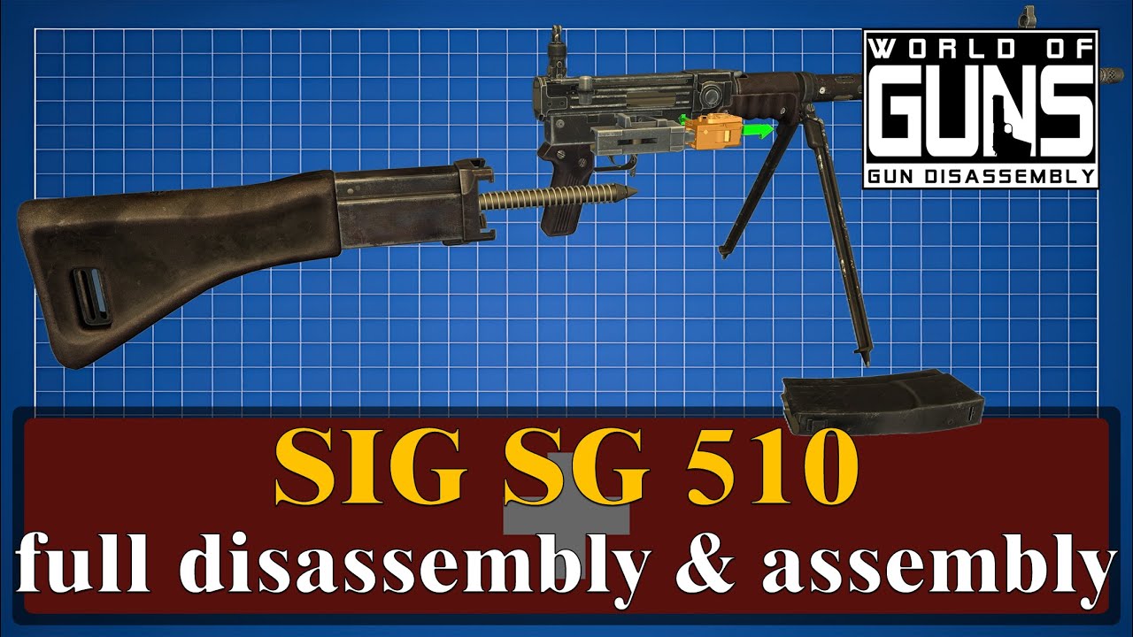 SIG SG 510: full disassembly & assembly | World of Guns - YouTube