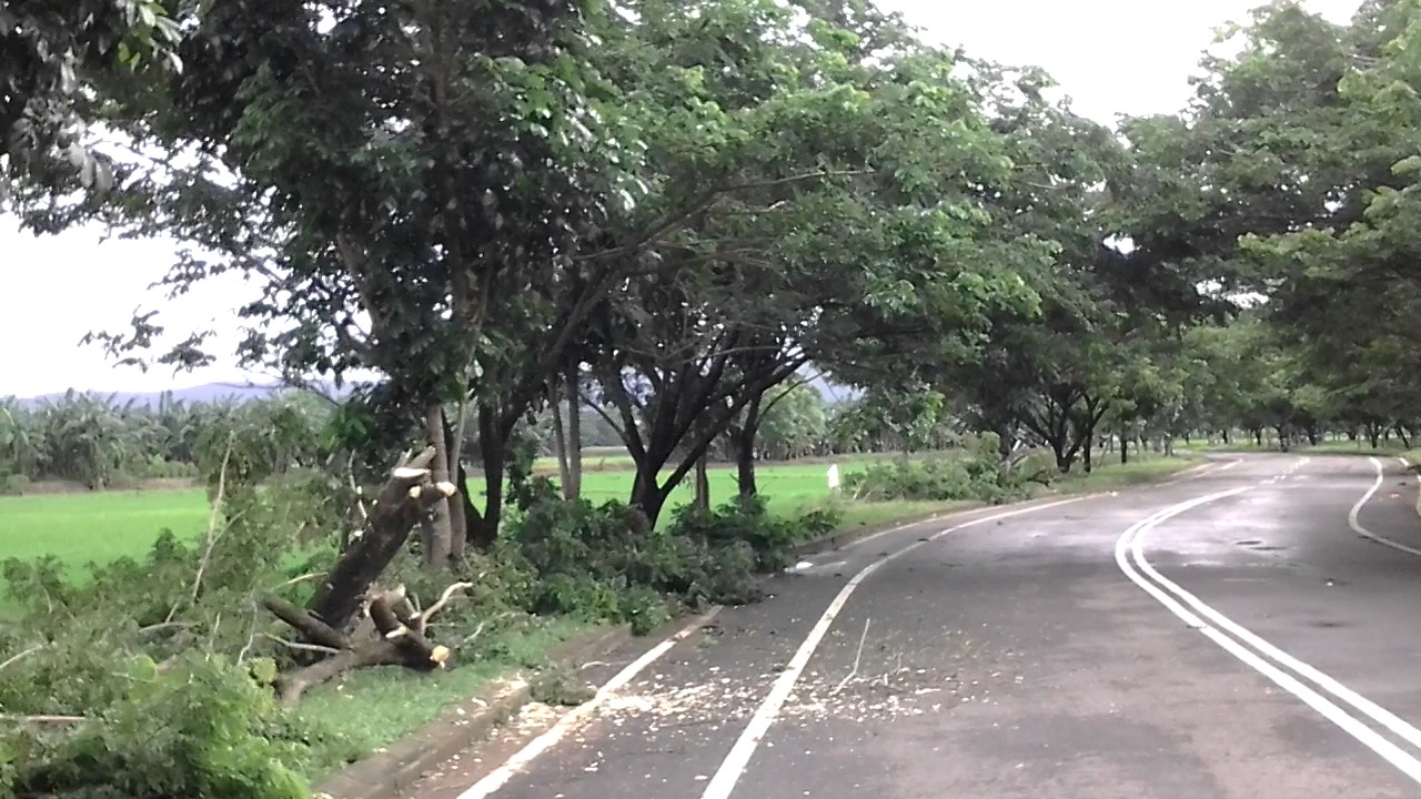 Green way to the golf area PADI VALLEY, Gowa, South Sulawesi - YouTube