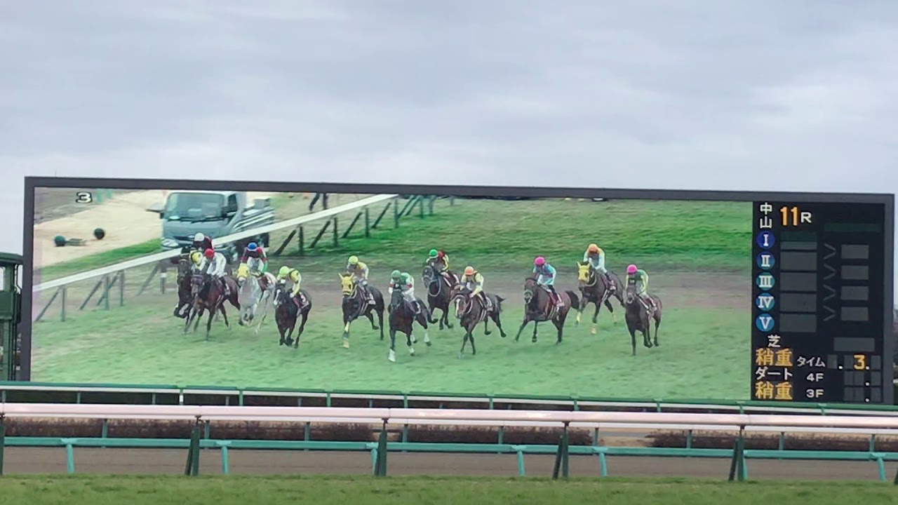 【追悼/マイネルフロスト】AJCC 2020 2 - YouTube